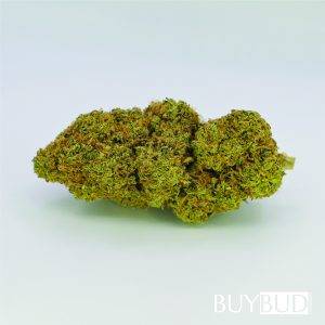 Hawaiian Snow Cannabis | Buy Weed Online Canada | 20% Off Your First Order