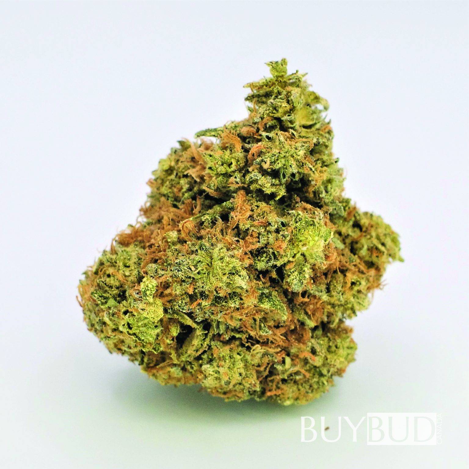 Sour Diesel Cannabis | Buy Weed Online Canada | Free Gift Every Order ...