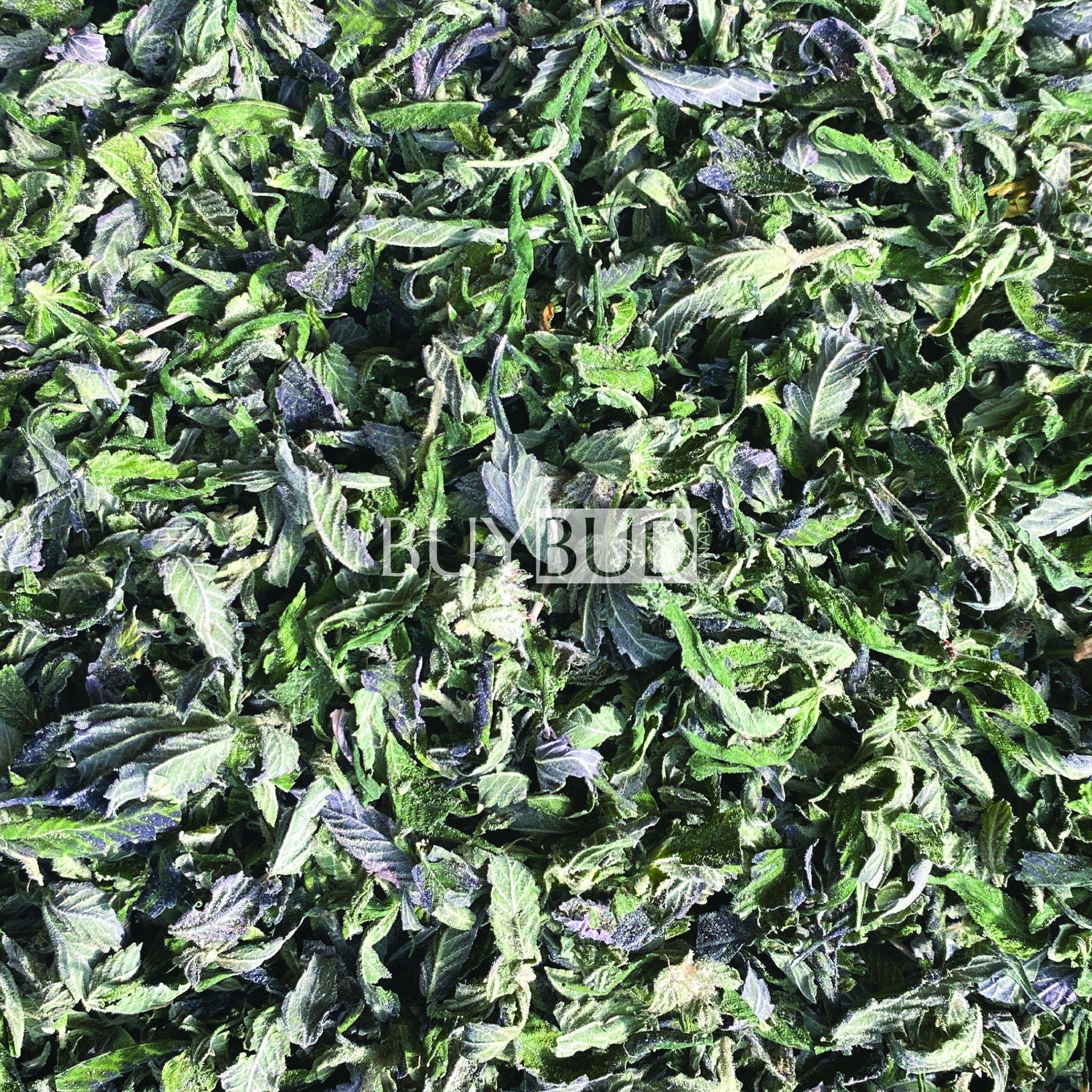 Buy Pound and a Half of Shake Online Canada | Buy Weed Online Canada ...