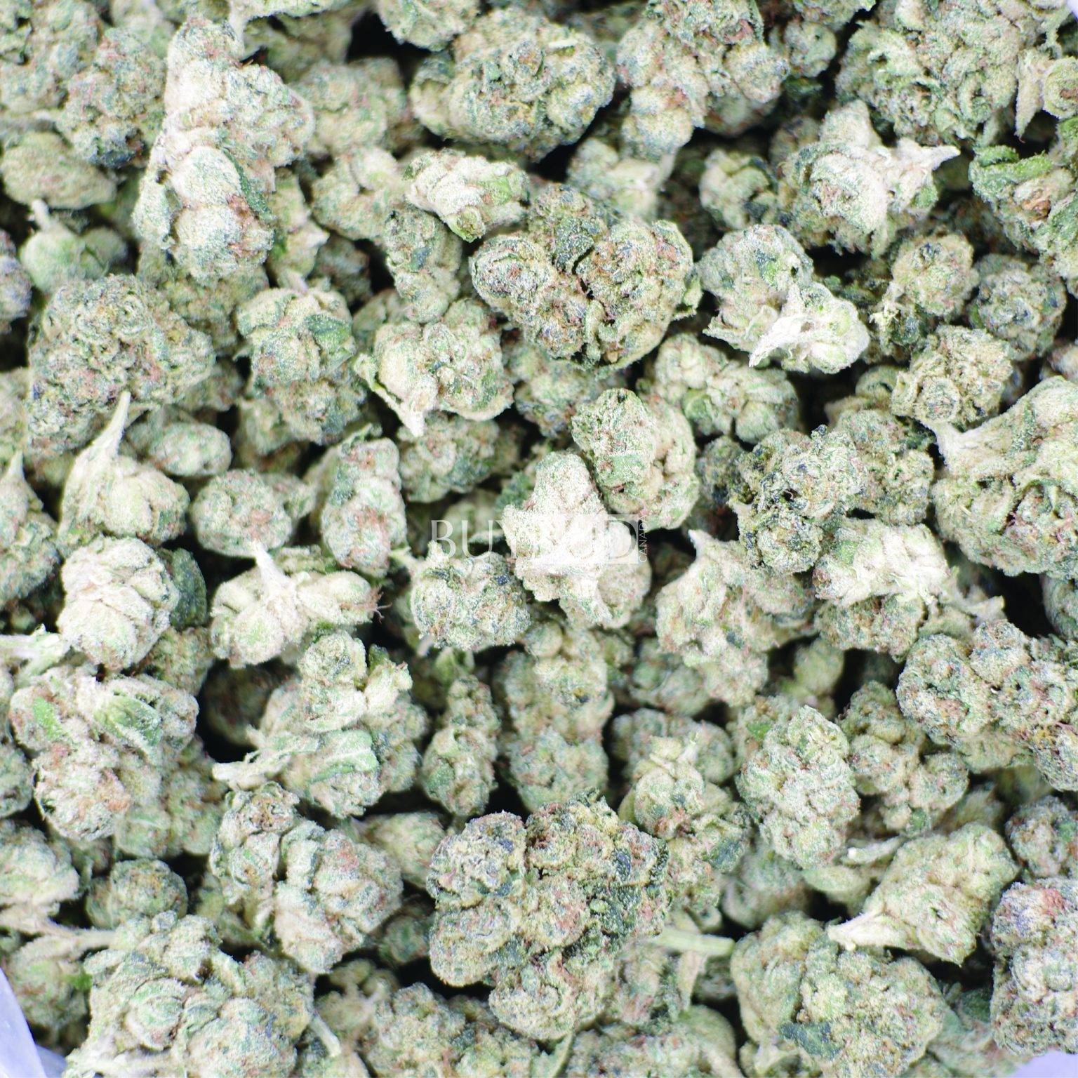 Buy BC Kush Popcorn Cannabis Online Canada | Free Shipping Orders Over ...