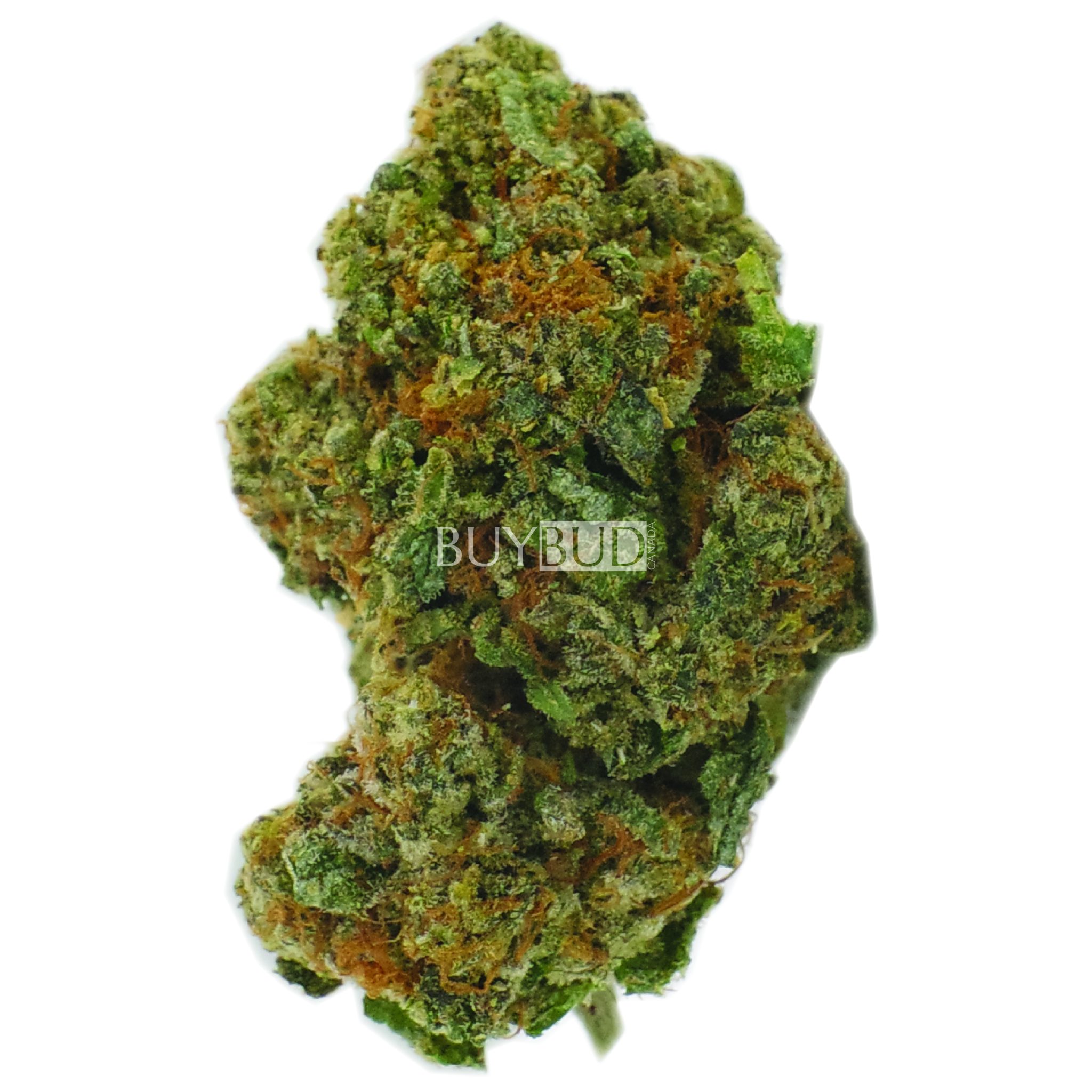 Sour Kush Cannabis | The Perfect Combination Of Sweet And Sour | Buy ...